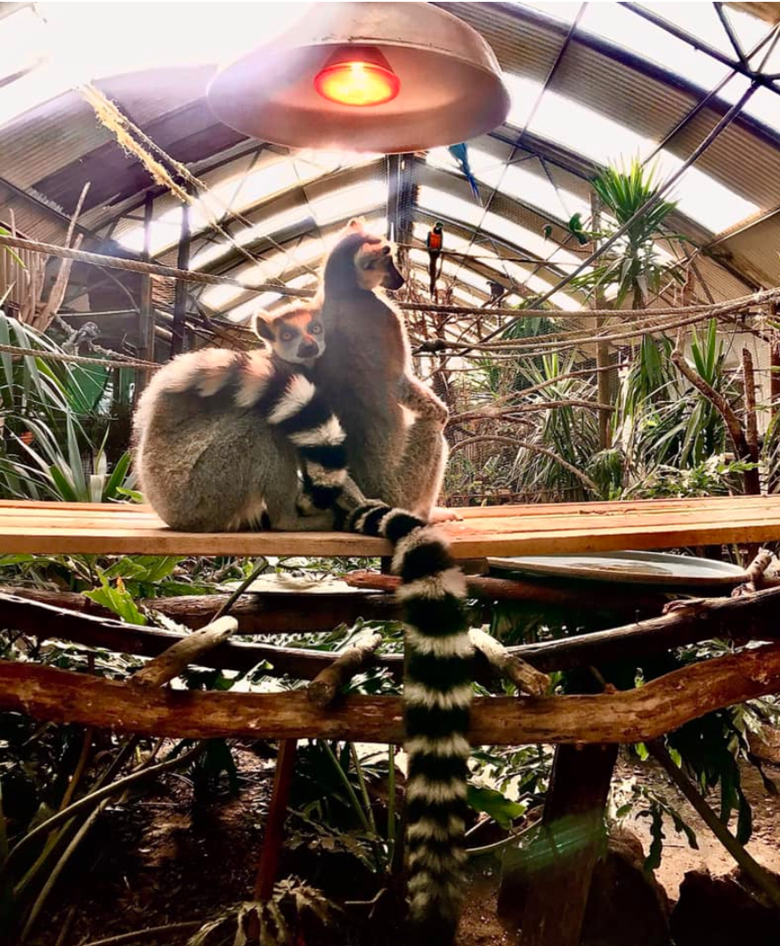 11 of the best spots to escape to for a day, in the Western Cape