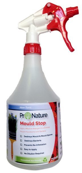 How to get rid of mould in your home | SA Garden and Home