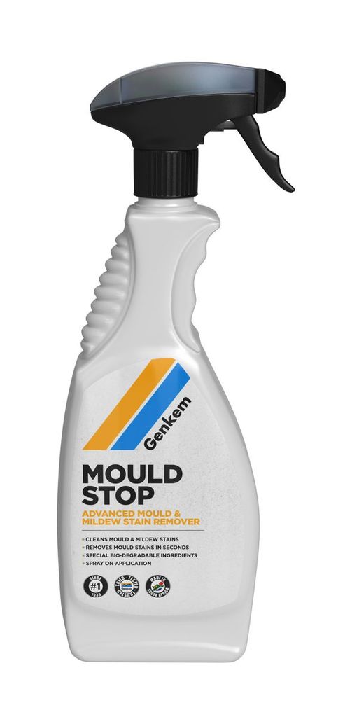 How to get rid of mould in your home