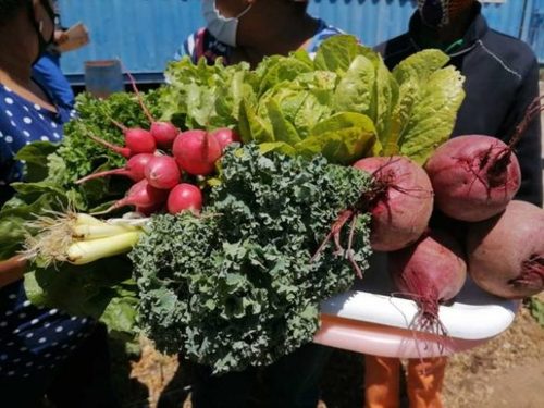 Founder of Soil for Life, Pat Featherstone, teaches how to live from ...