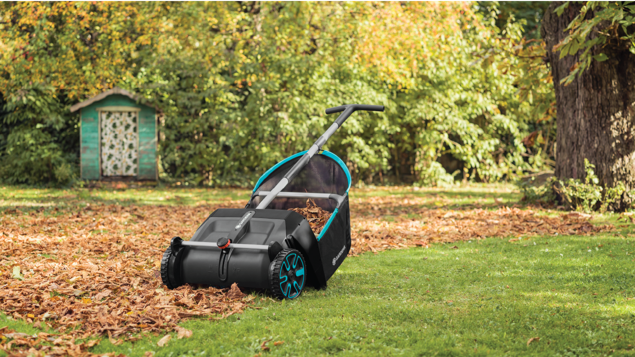 Best use of autumn leaves in your garden