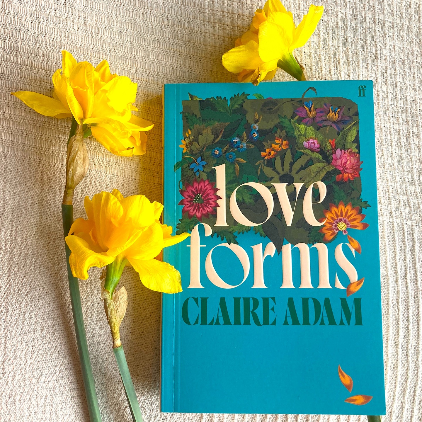 Book Review: Love forms by Claire Adam | Woman and Home Magazine